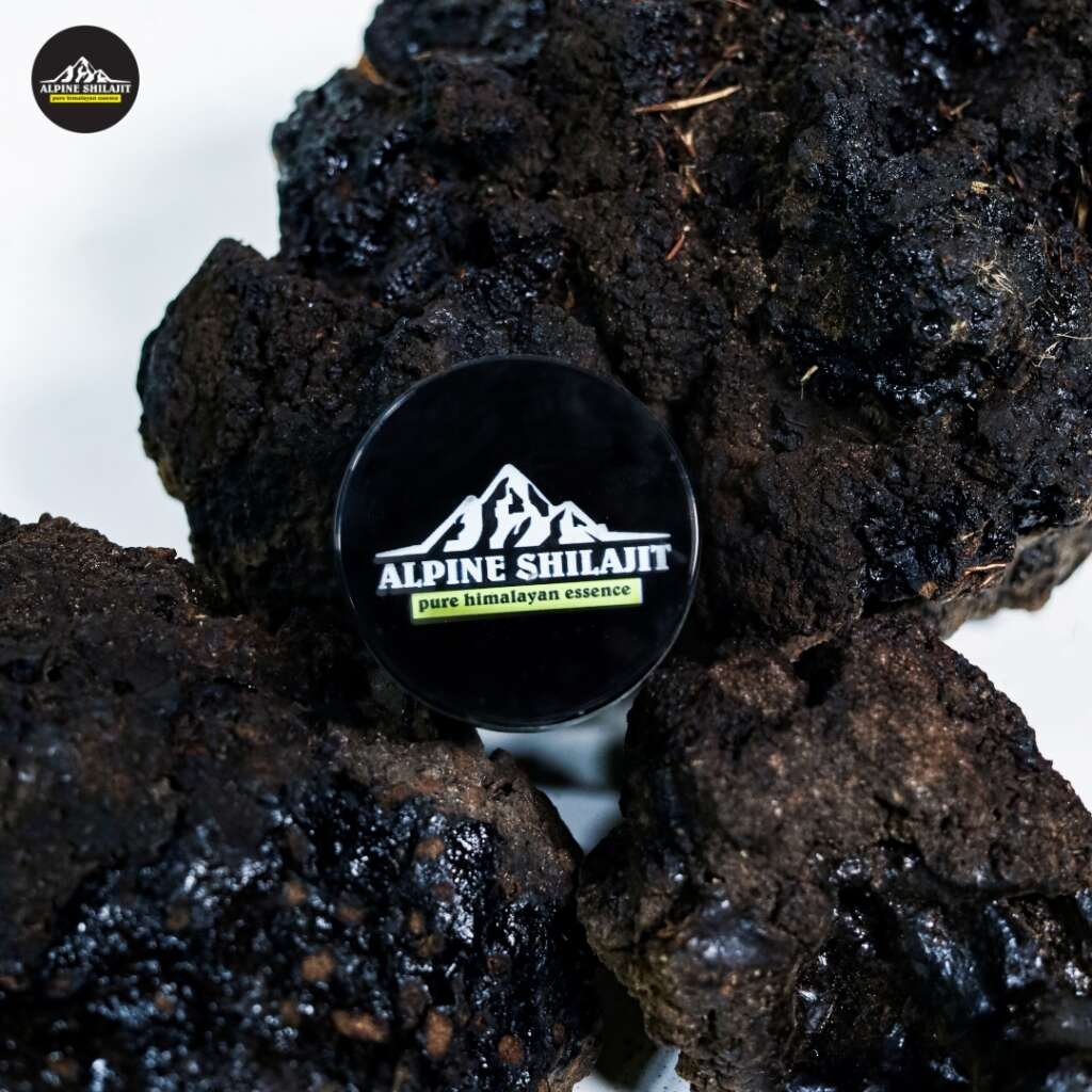 Alpine Shilajit Gold Grade – Sun-Dried Premium Quality Himalayan Resin ...
